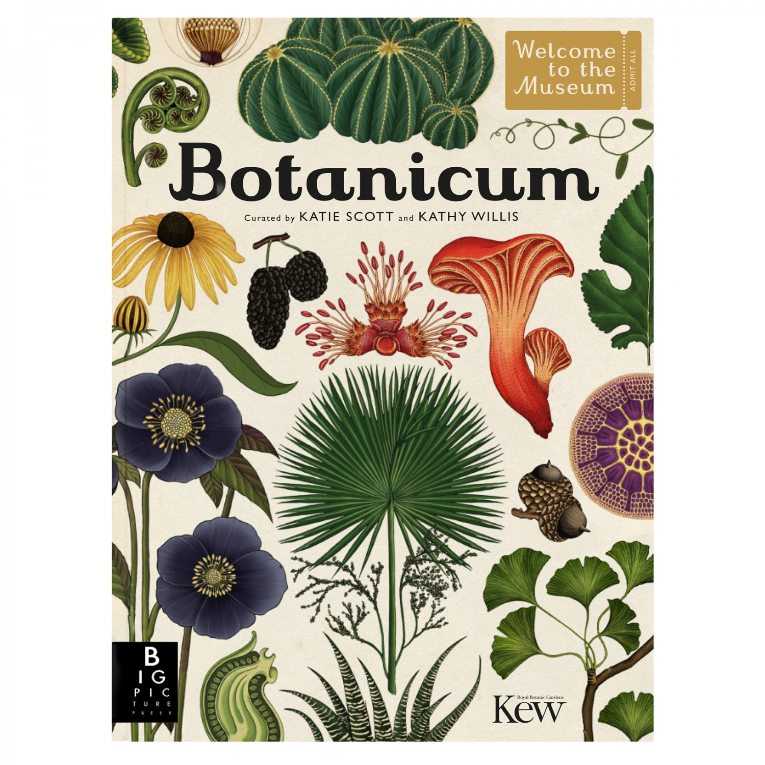 Botanicum - Big Active